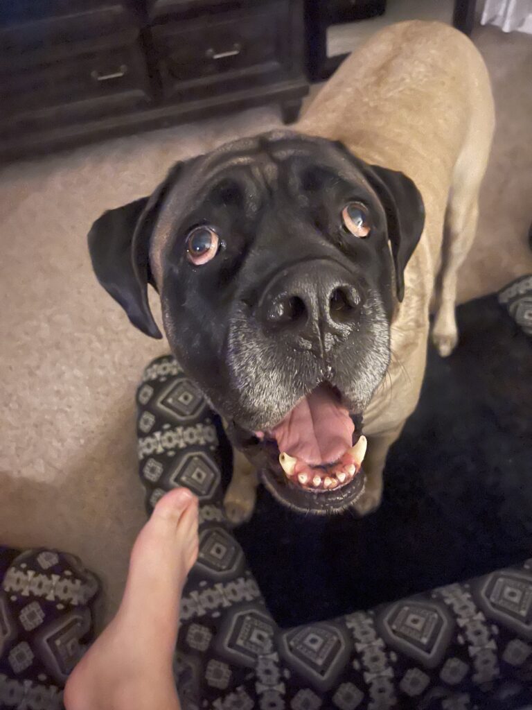 5G, 4G, CBRS, LTE Antennas | Parsec Technologies