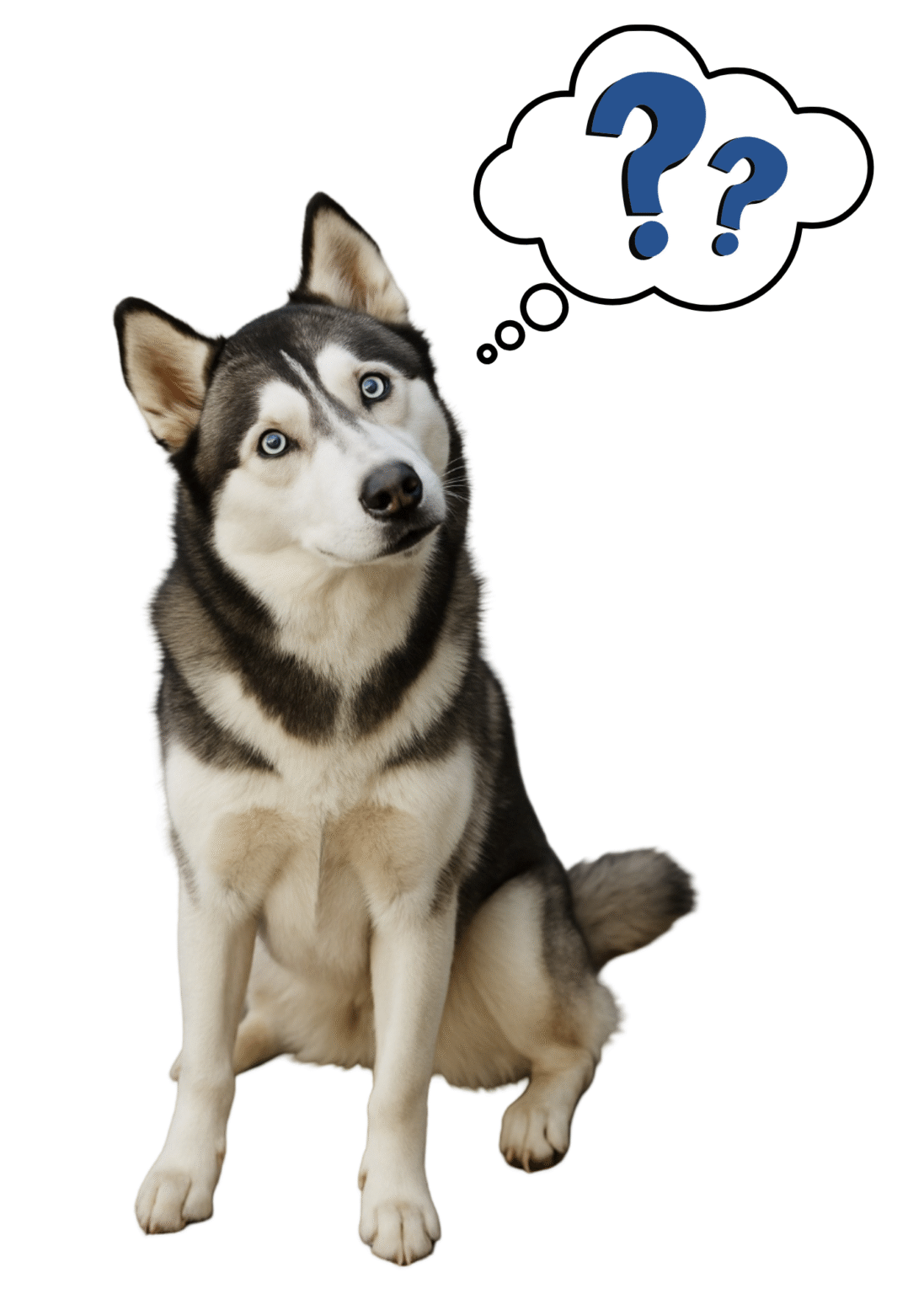 Construction Antennas | Parsec Technologies